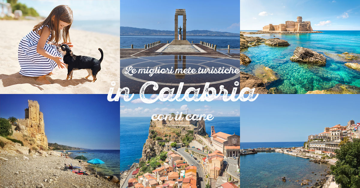 Vacanze in Calabria con il cane