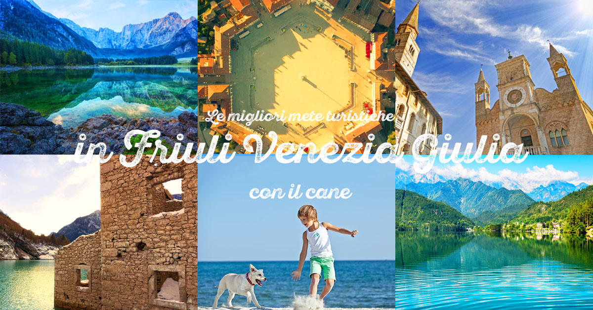 Vacanze in Friuli Venezia Giulia con il cane