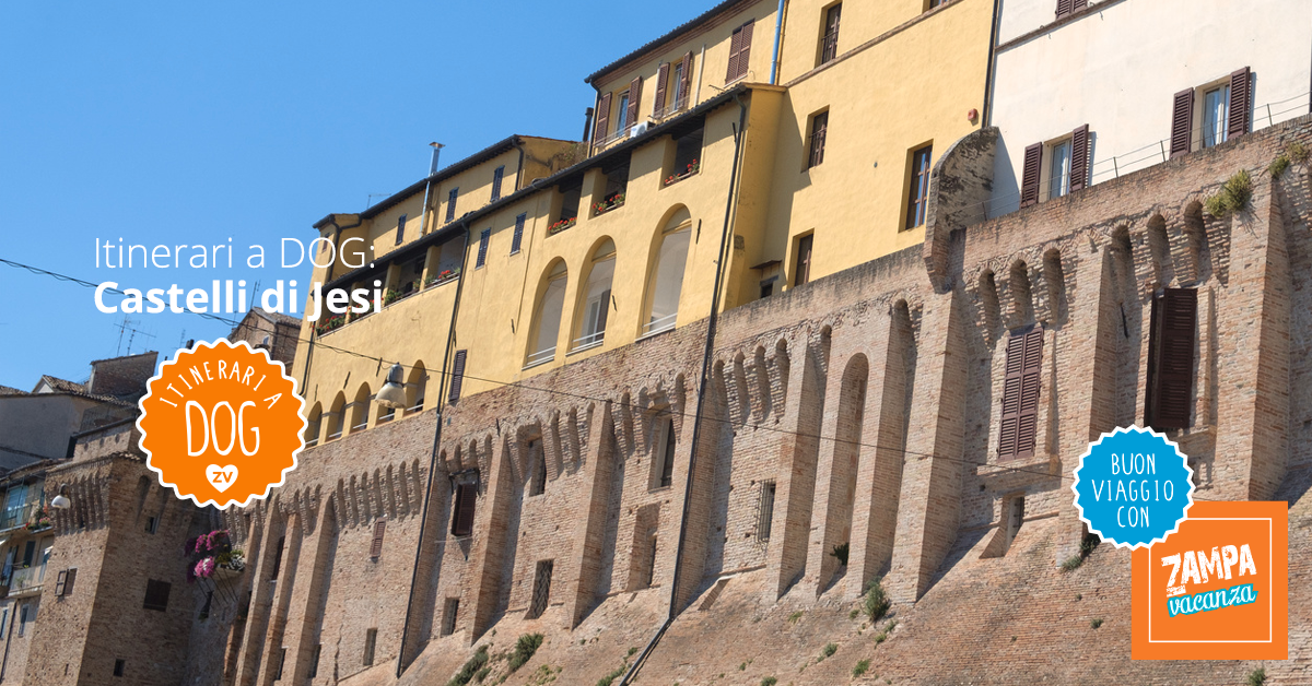 Visitare i Castelli di Jesi con il cane | Zampa Vacanza