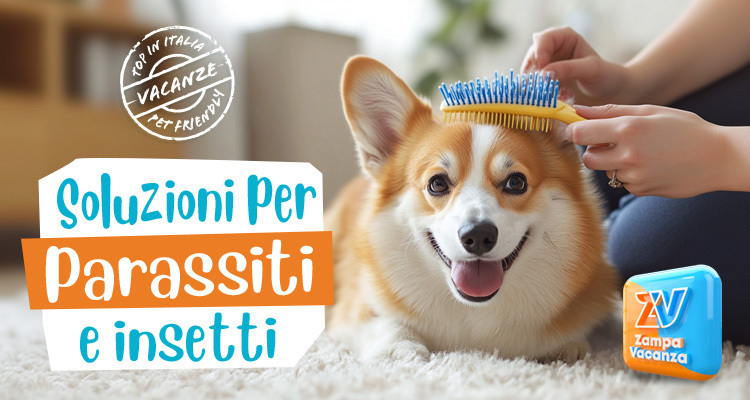 Insetti e parassiti primaverili: tutti i pericoli per cani e gatti e ...